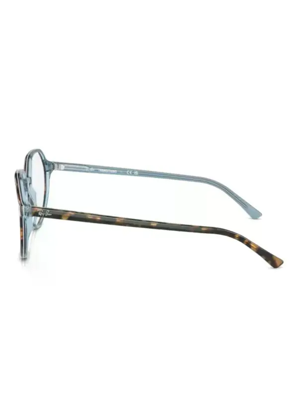 Ray-ban Hexagonal Sunglasses With Protective Case