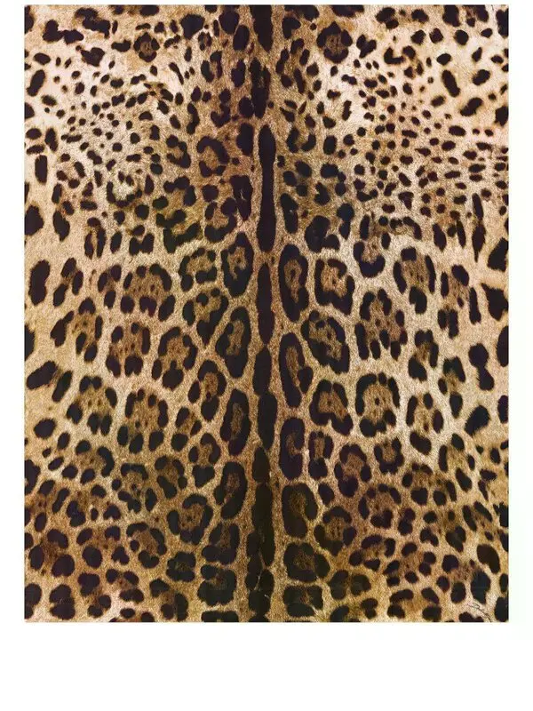 Dolce & Gabbana Leopard-print Wallpaper - Brown