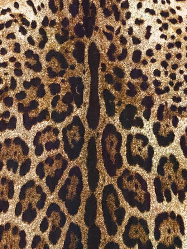 Dolce & Gabbana Leopard-print Wallpaper