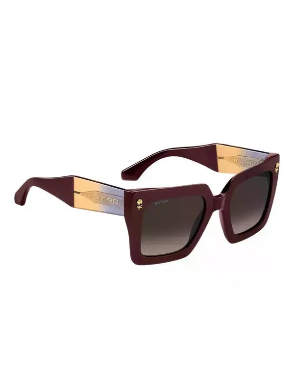 Etro Striped Sunglasses - Red