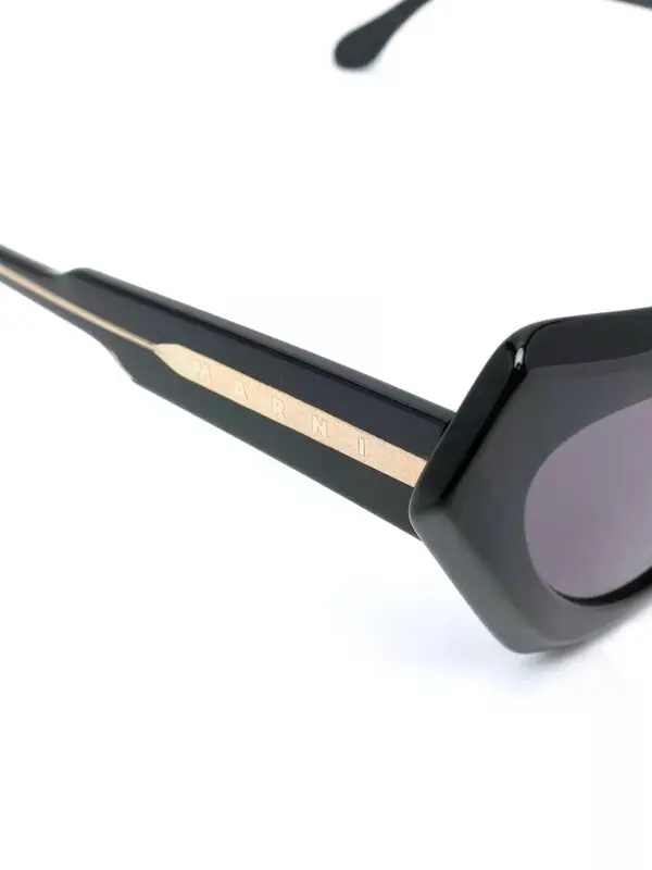 Marni Devil's Pool Cat-eye Sunglasses - Black