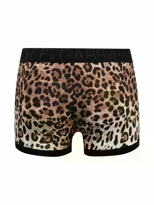 Dolce & Gabbana Leopard-print Boxers