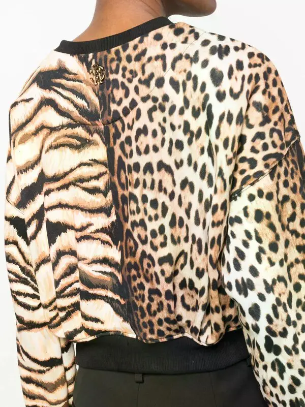 Roberto Cavalli Animal-print Long-sleeve Blouse