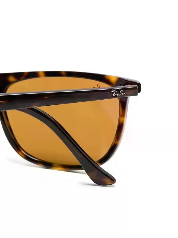 Ray-ban Sunglasses