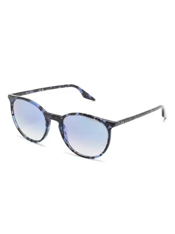 Ray-ban Rb2204 Sunglasses