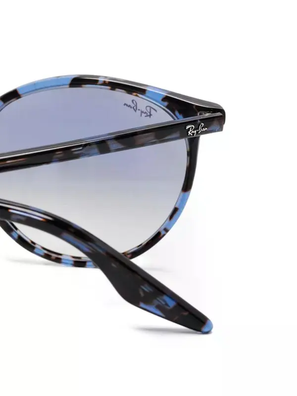 Ray-ban Rb2204 Sunglasses