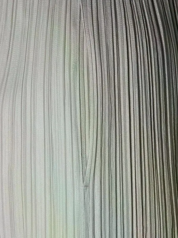 Issey Miyake Pleated Trousers