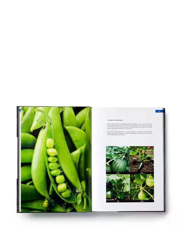 PHAIDON PRESS Unelaborated Products: Definition And Classification