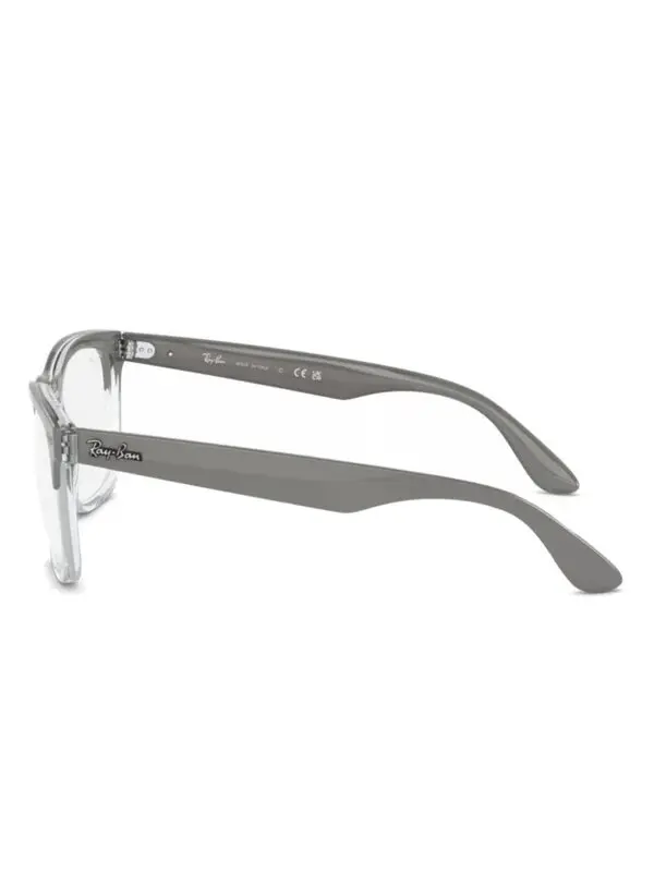 Ray-ban Steve Glasses