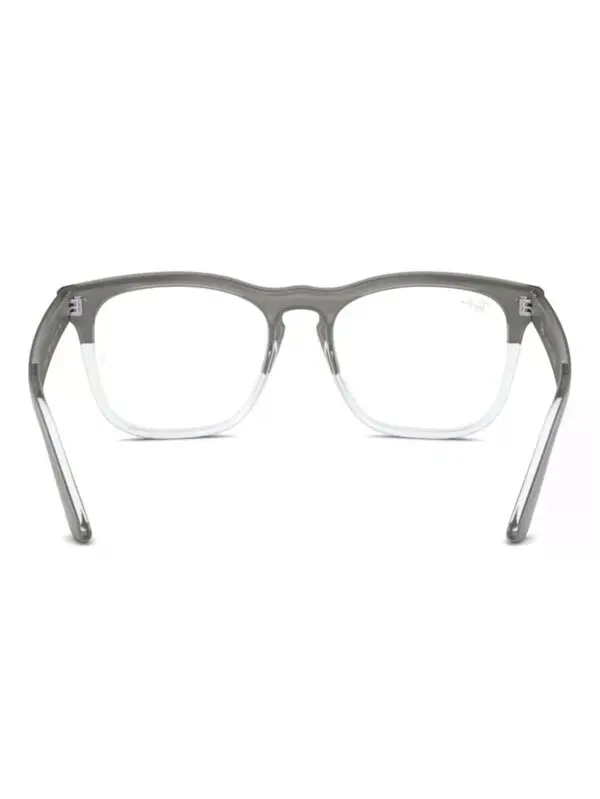 Ray-ban Steve Glasses