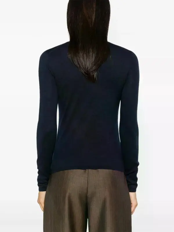 Max Mara Afelio Sweater