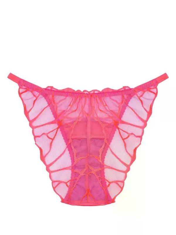 FLEUR OF ENGLAND Cleo Briefs