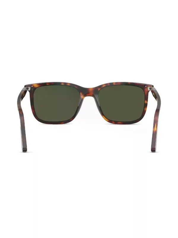 Persol Renzo Sunglasses - Brown