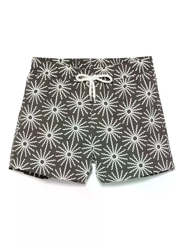 Frescobol Carioca Rio Swim Shorts - Green