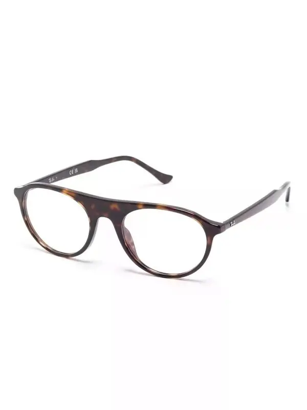 Ray-ban Round-frame Glasses