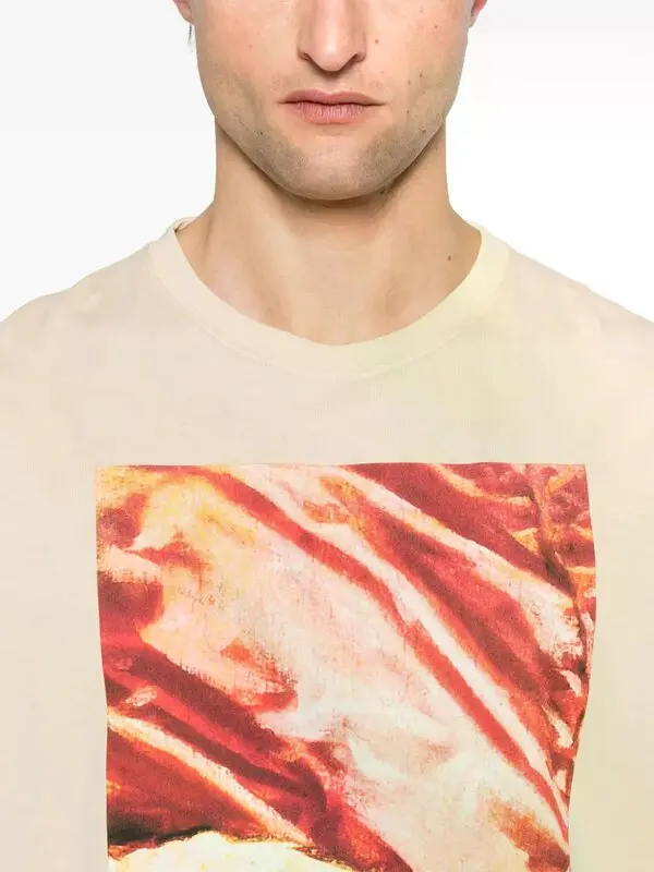 Alexander McQueen Painting-print T-shirt