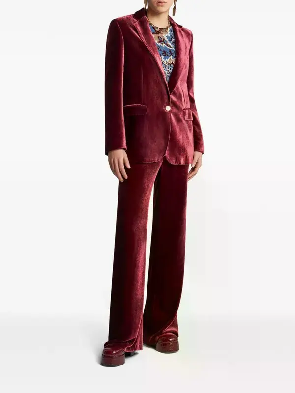 Etro Single-breasted Velvet Blazer - Red
