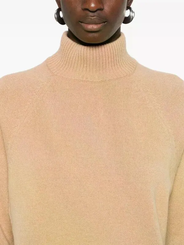 Peserico High-neck Raglan Sleeve Sweater