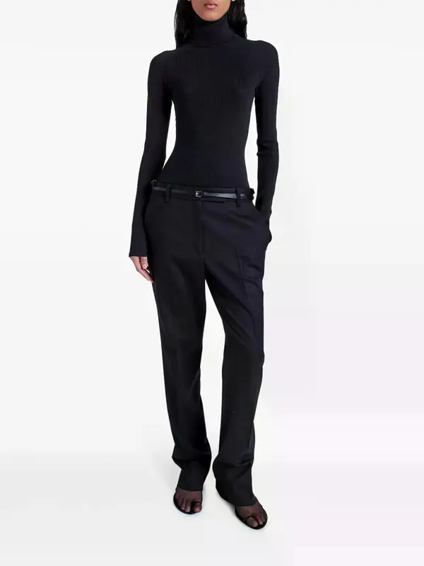 Proenza Schouler Ribbed Knit Roll Neck Jumper