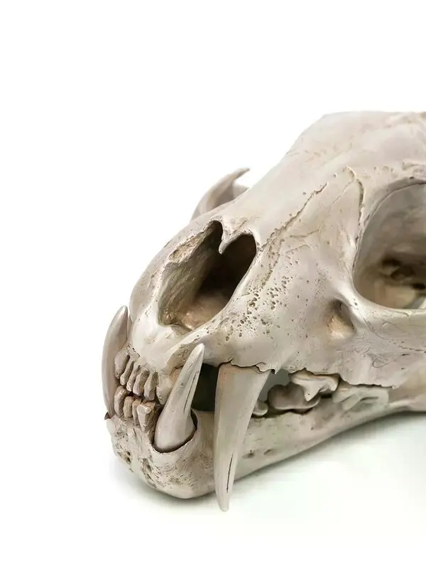 PARTS OF FOUR Replica Leopard Skull