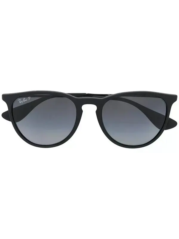 Ray-ban Erika Oval Frame Sunglasses - Black