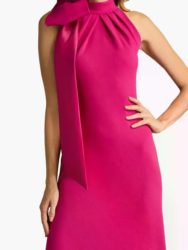 Tadashi Shoji Sims Dress