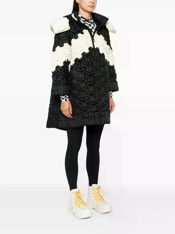 RAXXY 3d Mountain Goose Down Parka