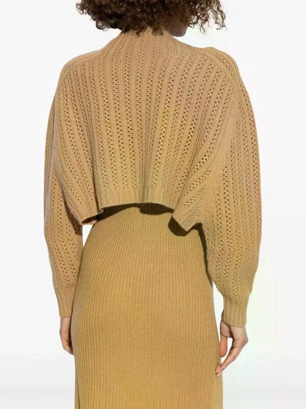 Max Mara Hodeida Cropped Sweater