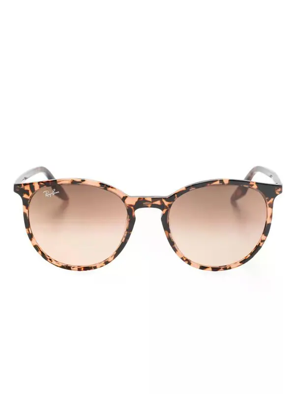 Ray-ban Rb2203 Sunglasses - Brown