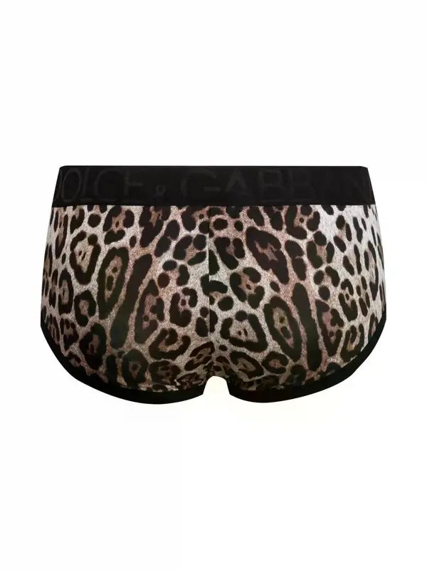 Dolce & Gabbana Leopard-print Boxer Briefs