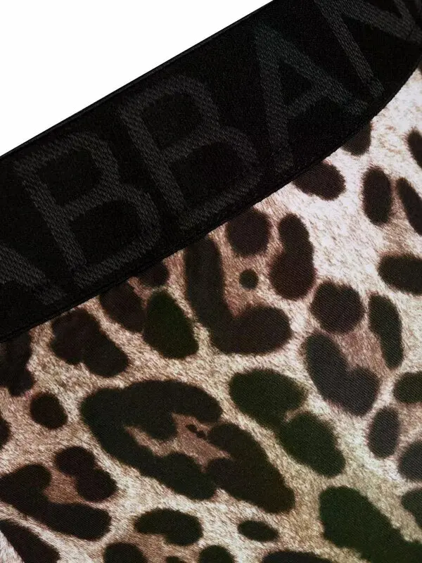 Dolce & Gabbana Leopard-print Boxer Briefs