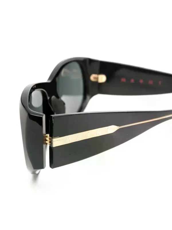 Marni Wide-arm Oval Sunglasses