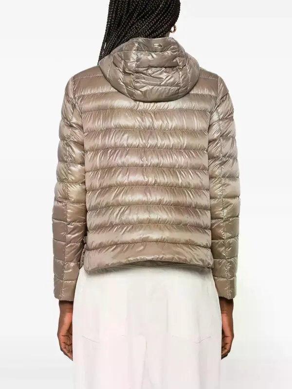 Herno Hooded Jacket