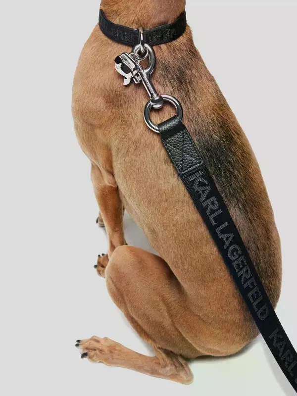 Karl Lagerfeld Pet Leash And Pouch Set