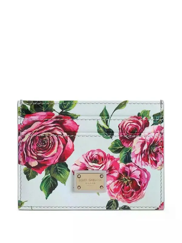 Dolce & Gabbana Floral-print Cardholder - Blue