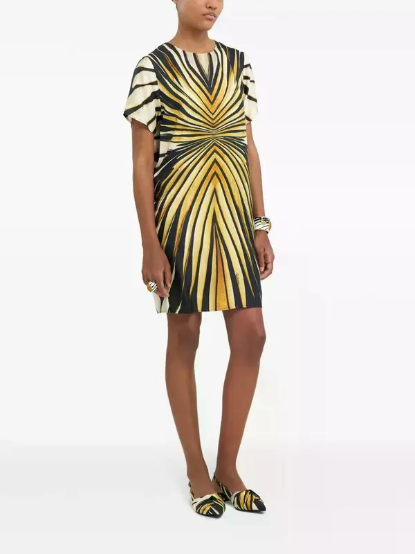 Roberto Cavalli Abstract-print Silk Dress