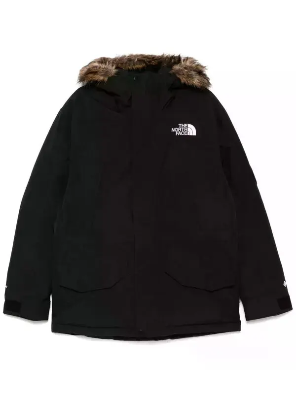 The North Face Mcmurdo 2l Gtx Jacket - Black