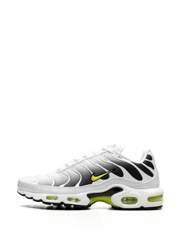 Nike Air Max Plus Sneakers