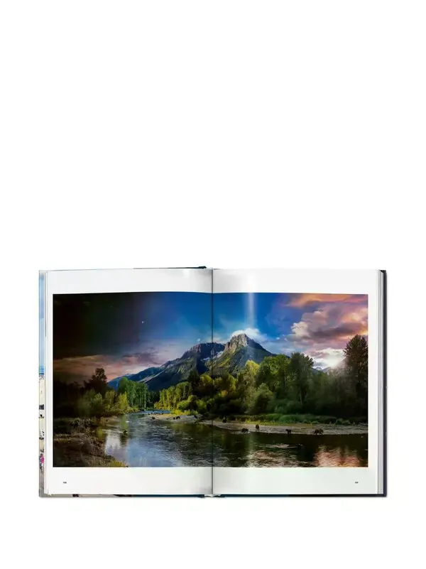 TASCHEN Stephen Wilkes Book - Multicolour
