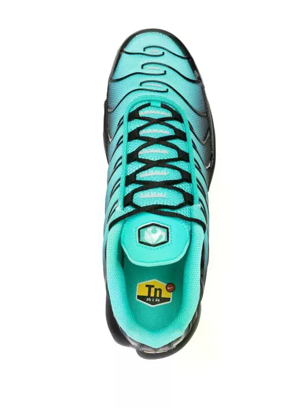 Nike Air Max Plus Swoosh-detail Sneakers - Black