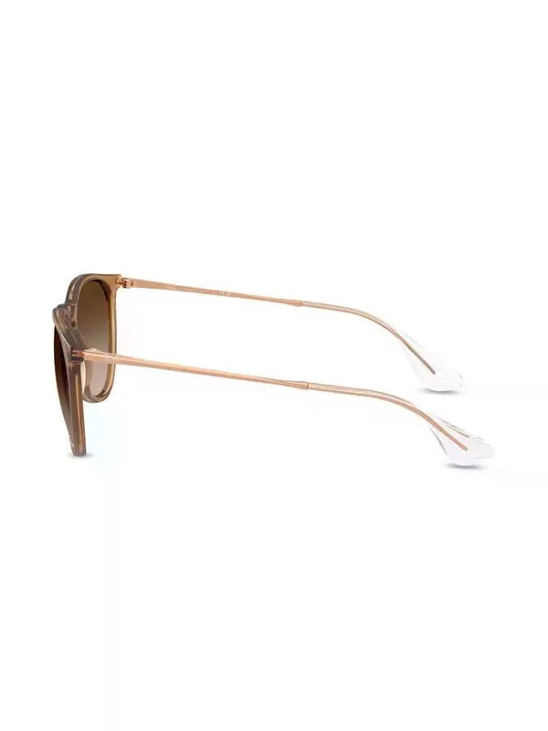 Ray-ban Erika Sunglasses - Neutrals