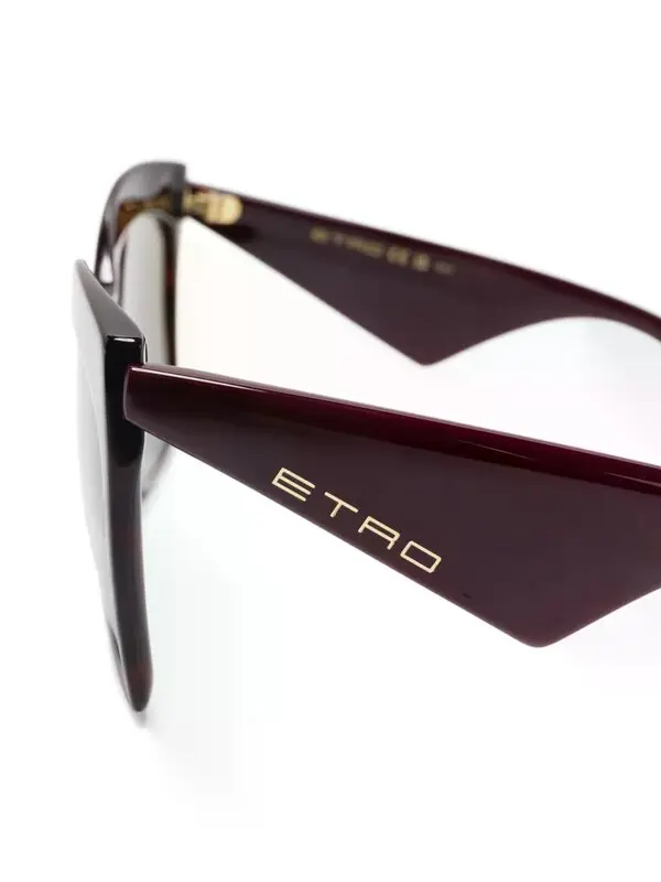 Etro Oversized Sunglasses - Brown