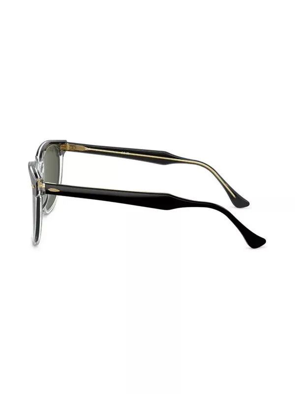 Ray-ban Eagle Eye Round-frame Sunglasses