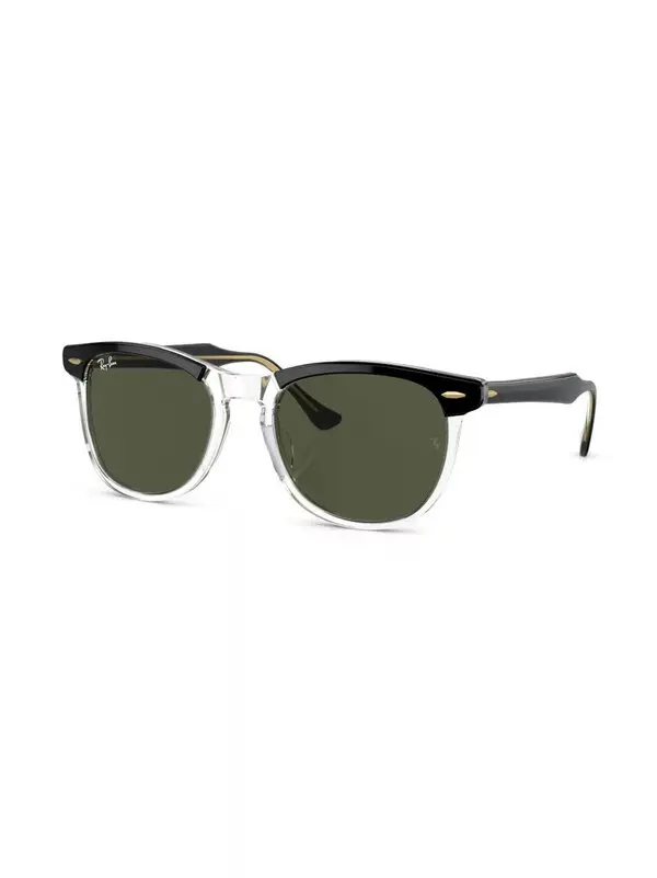 Ray-ban Eagle Eye Round-frame Sunglasses
