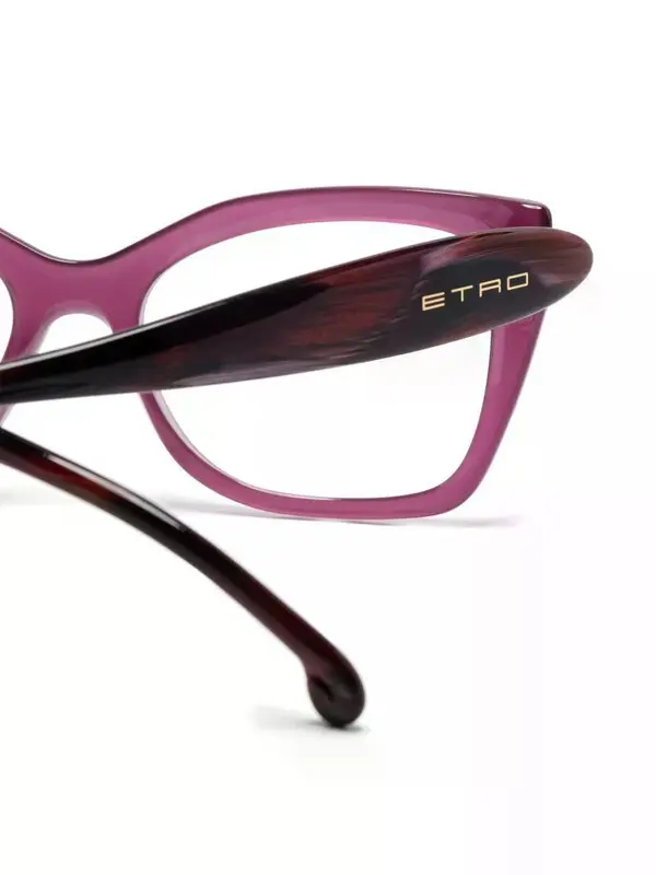Etro Butterfly-frame Glasses