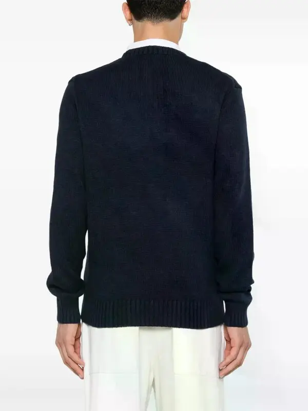 Polo Ralph Lauren Flag Bear Sweater