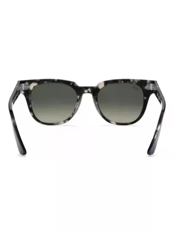 Ray-ban Sunglasses With Protective Case