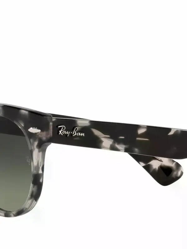 Ray-ban Orion Round-frame Sunglasses
