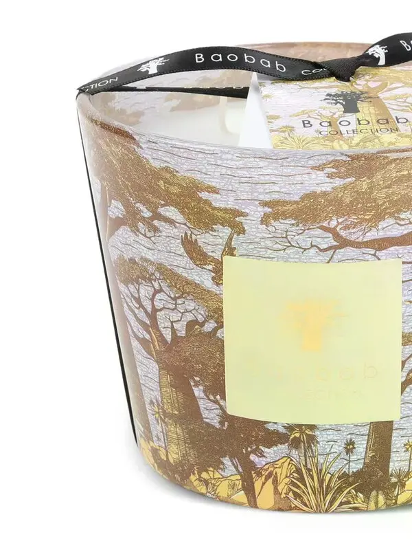 BAOBAB COLLECTION Sacred Trees Candle