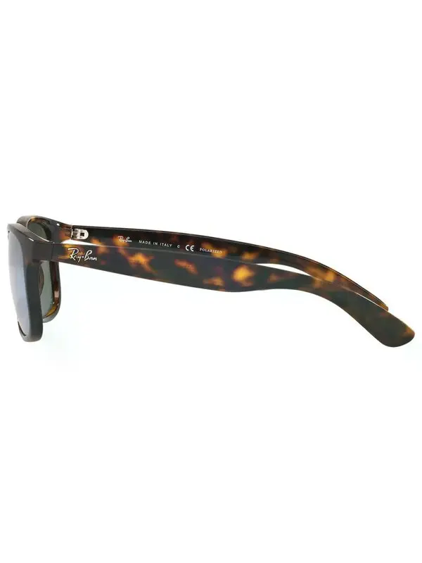 Ray-ban Andy Sunglasses